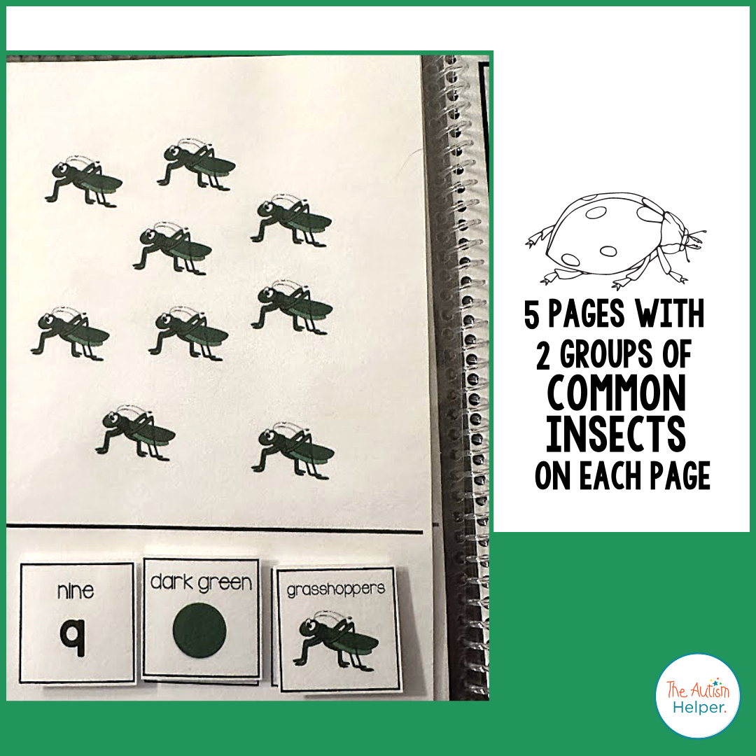 Count, Color, & Name Wh-Question Adapted Book - Insects – The Autism Helper