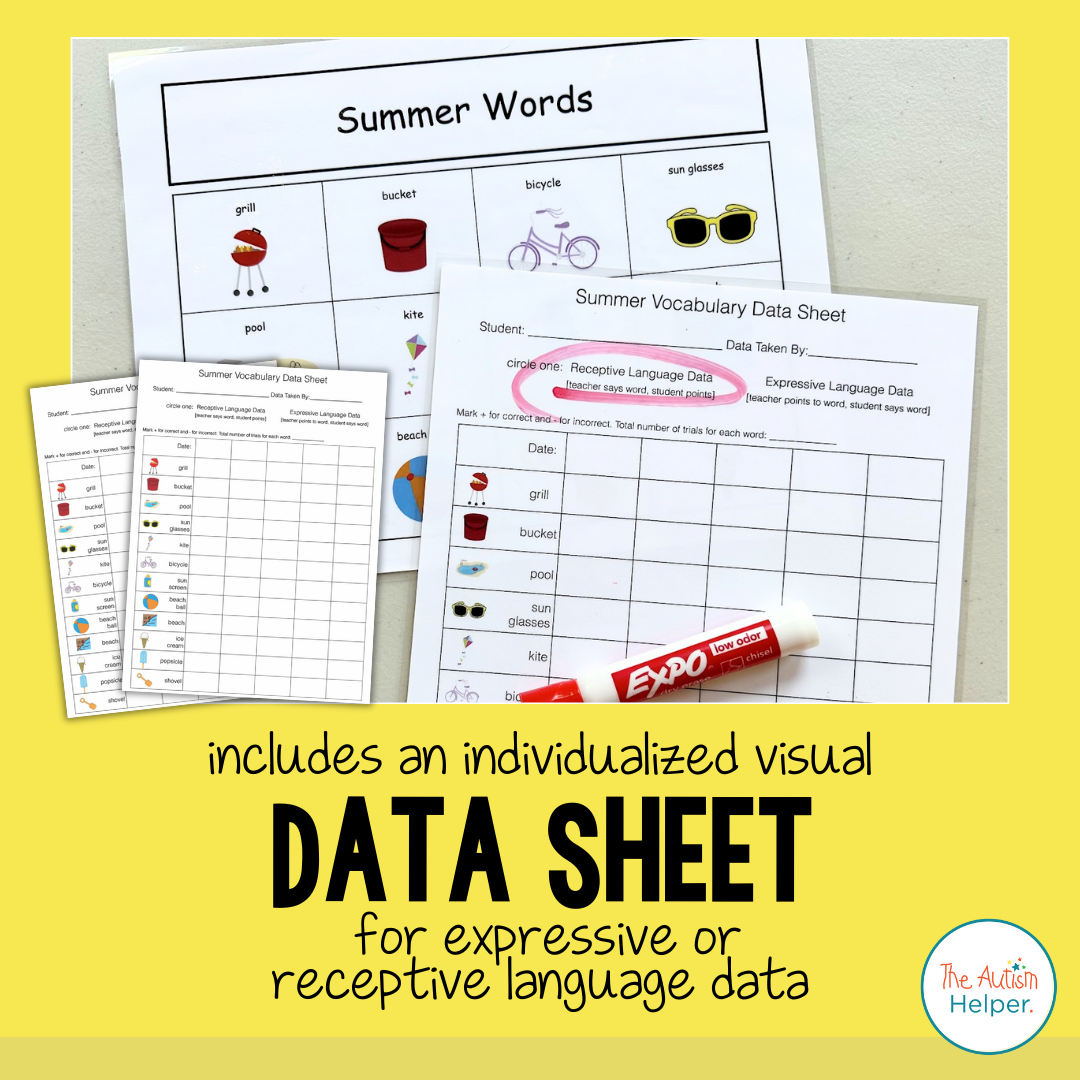 Summer Themed Vocabulary Mini Unit – The Autism Helper