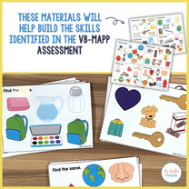 VB-MAPP Task Cards: Visual Perceptual Skills & Match to Sample Level 2 – The Autism Helper