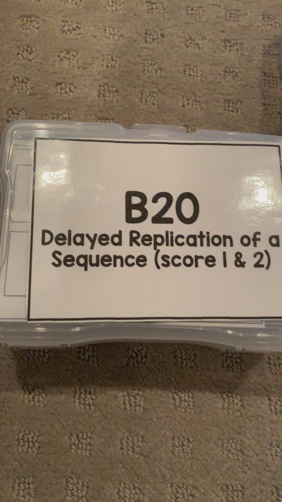 Delayed Match and Sequence Task Cards [ABLLS-R Aligned B20, B21] – The ...