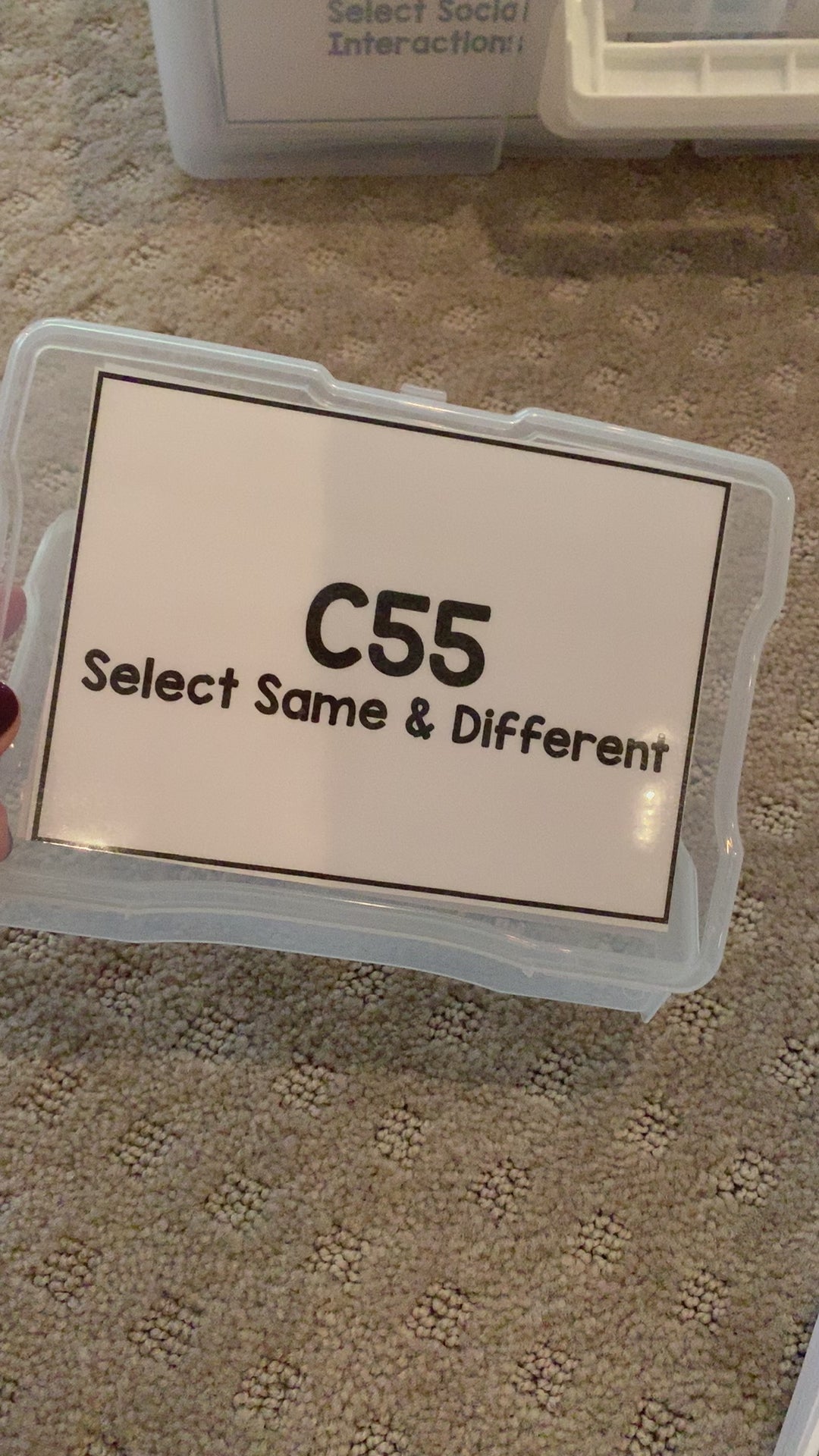 Same & Different Task Cards [ABLLS-R Aligned C55] – The Autism Helper