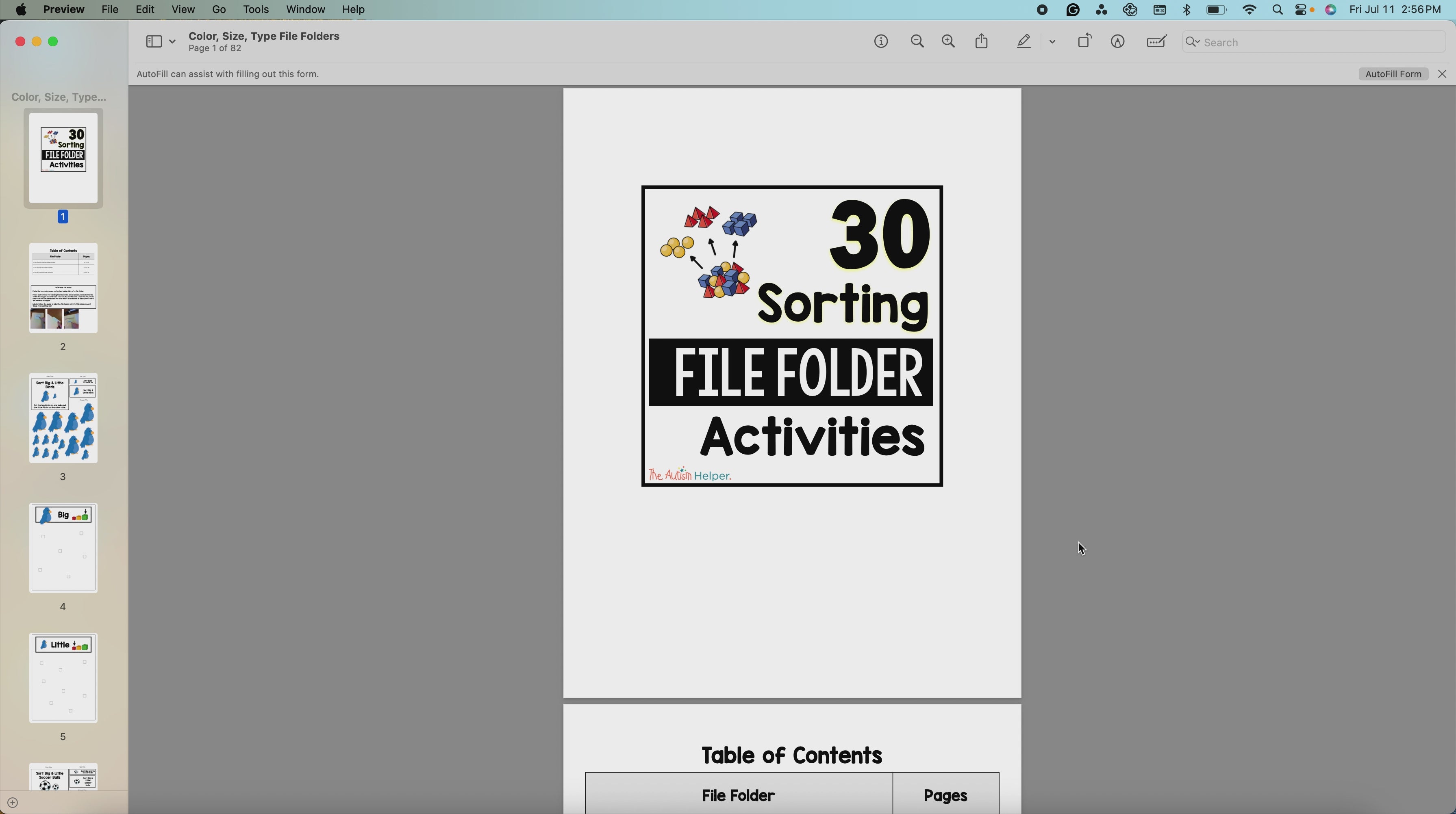Color, Size, and Type Sorting File Folder Activity Mega Pack – The ...