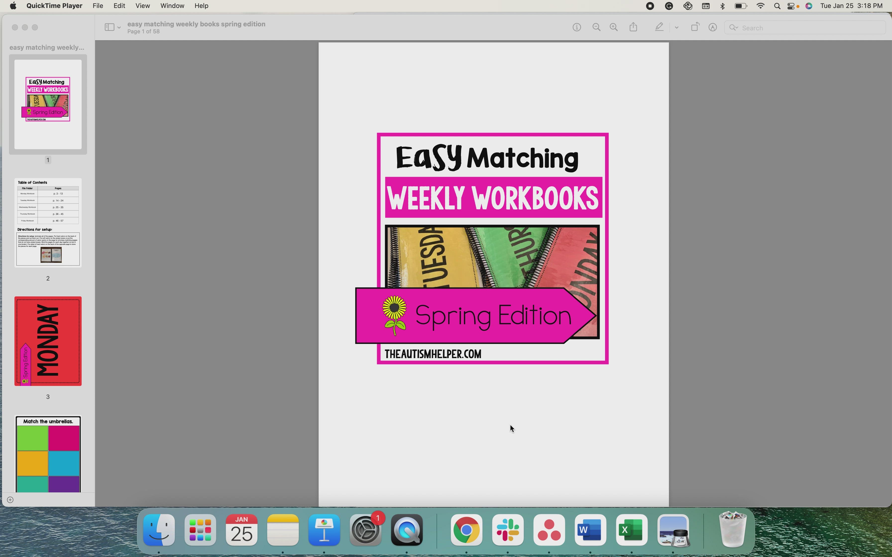 Easy Matching Weekly Workbooks - Spring Edition – The Autism Helper