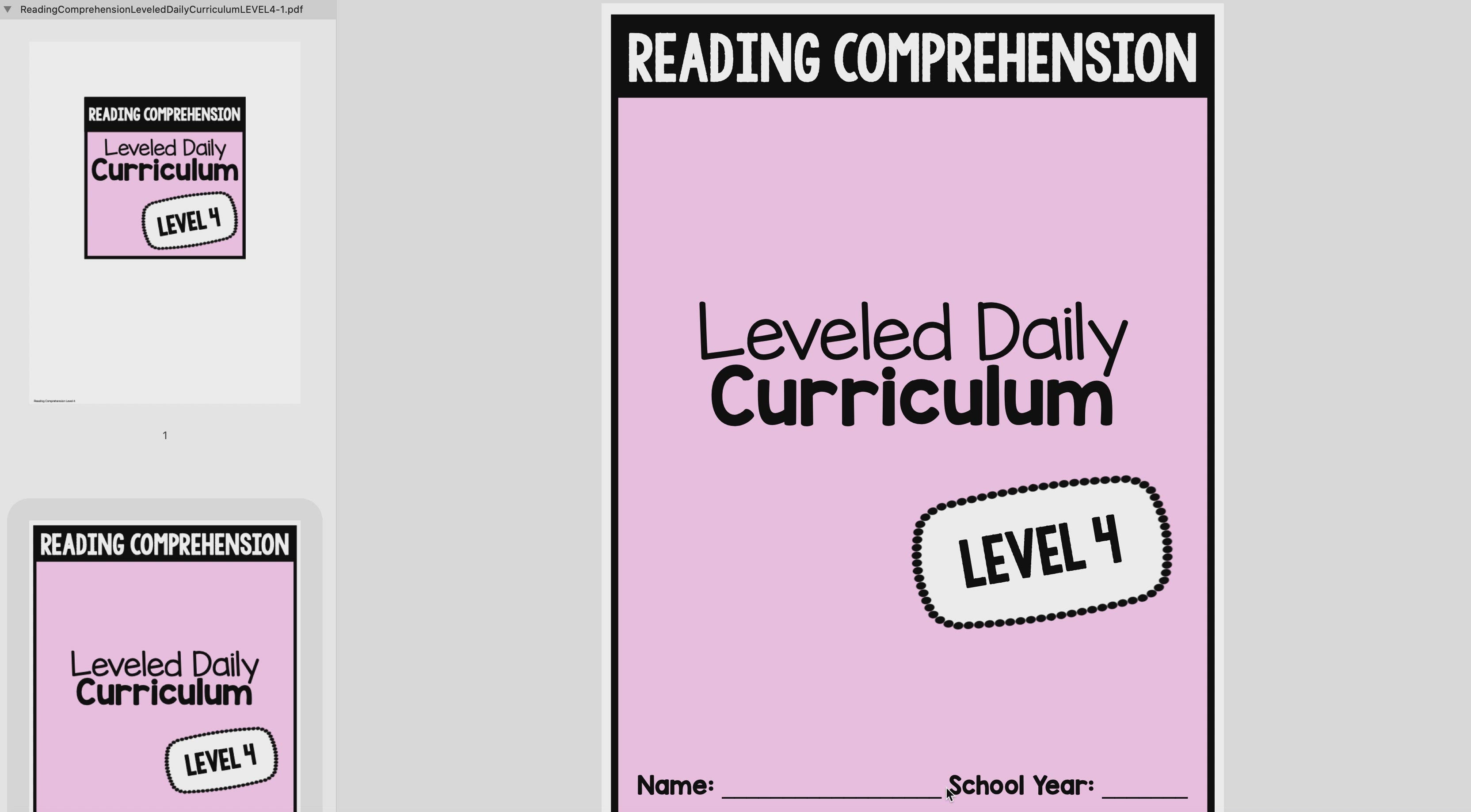 Reading Comprehension Leveled Daily Curriculum {LEVEL 4} – The Autism ...
