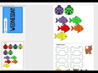 Easy Matching Weekly Workbooks - Animal Edition – The Autism Helper