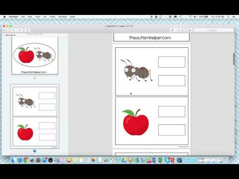 Parts of Speech BUNDLE Adapted Book Series – The Autism Helper