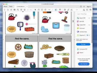 VB-MAPP Task Cards: Visual Perceptual Skills & Match to Sample Level 3 ...