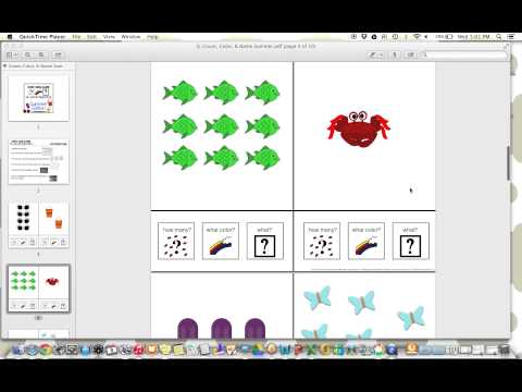 How Many? What Color? What? Adapted Book {SUMMER} – The Autism Helper