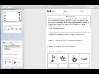Science Leveled Daily Curriculum {LEVEL 4} – The Autism Helper
