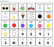 How Many? What Color? What? Adapted Book {SUMMER} – The Autism Helper