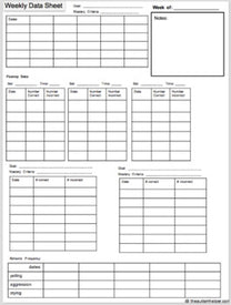 Editable Special Education Data Sheets – The Autism Helper