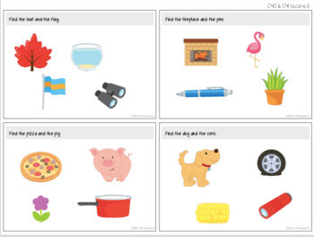 Select & Label Two Items Task Cards [ABLLS-R Aligned C40, C41, G19, G2 ...