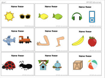 Select & Label Two Items Task Cards [ABLLS-R Aligned C40, C41, G19, G2 ...