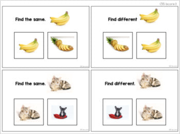 Same & Different Task Cards [ABLLS-R Aligned C55] – The Autism Helper