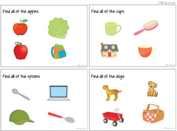 Receptive & Labeling Task Card BUNDLE [ABLLS-R Aligned ALL C & G TASKS ...