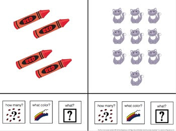 What? How Many? What Color? Adapted Book for Children with Autism VERS ...