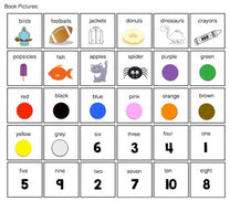 What? How Many? What Color? Adapted Book for Children with Autism VERS ...