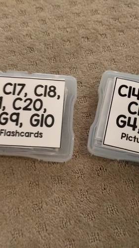 Picture & Photo Cards [ABLLS-R Aligned C14, C17, C18, C19, C20, G4, G9 ...